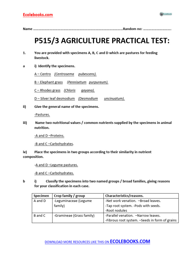 Prac S6 Revision Past Papers | PDF | Soil | Seed