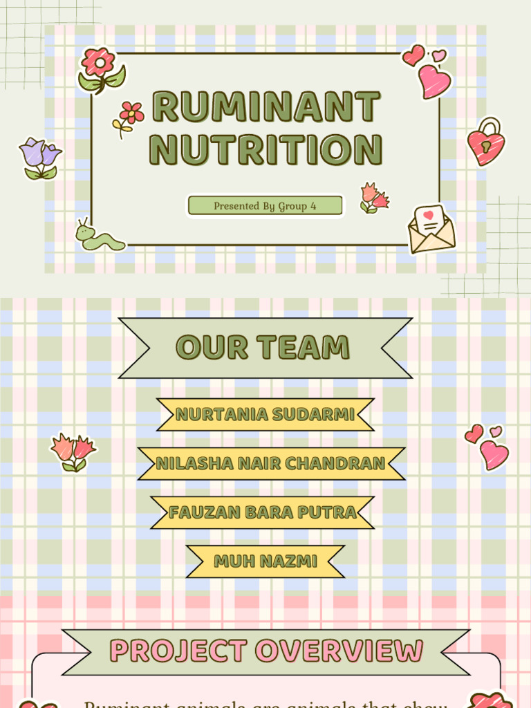 Ruminant Nutrition and Digestive System | PDF | Ruminant | Digestion