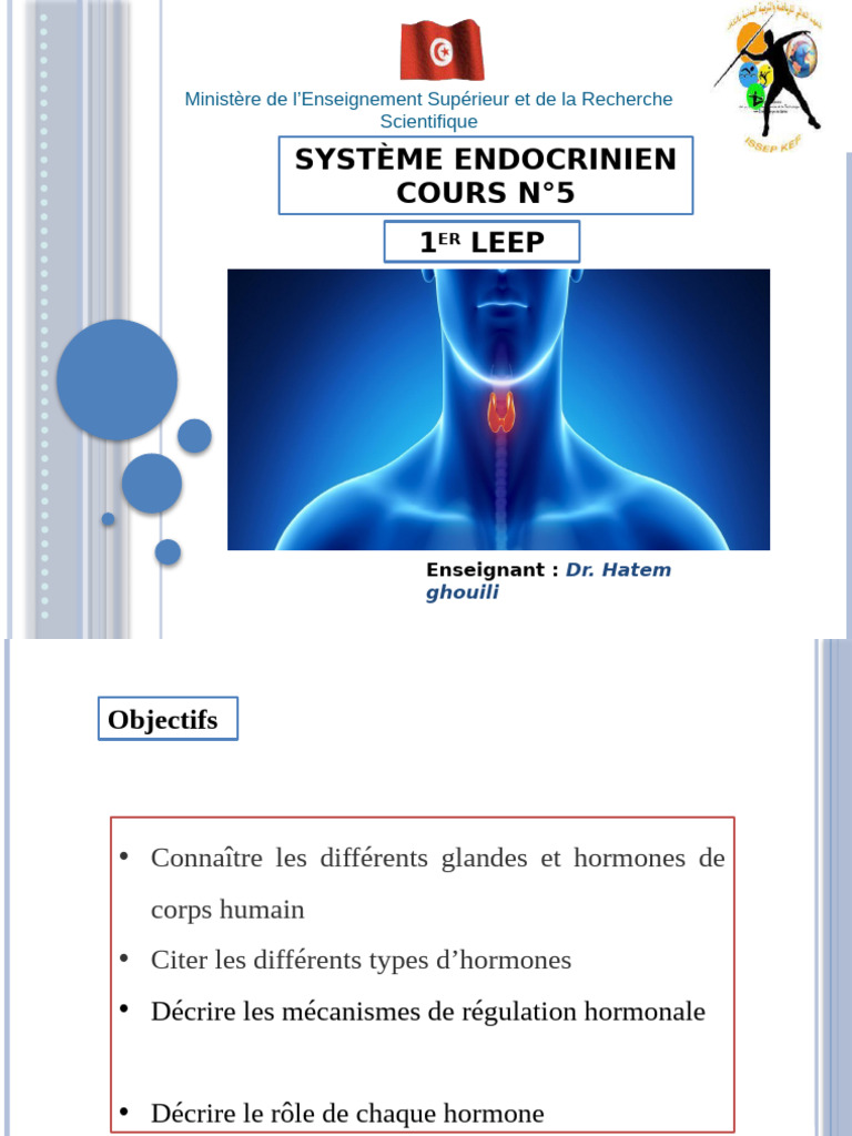Hormones et Système Endocrinien | PDF | Hormone | Glande surrénale