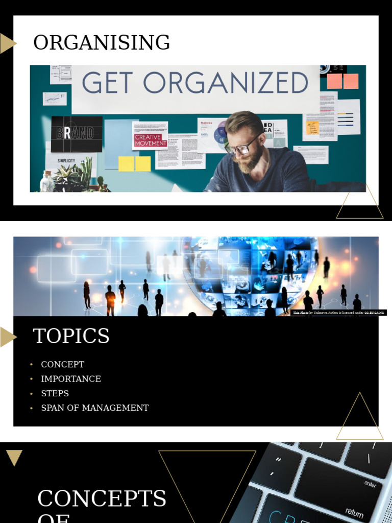 ORGANISING | PDF | Goal | Organizational Behavior