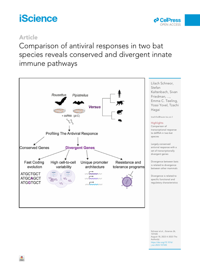 Comparison of Antiviral Responses in Two Bat Species Reveals Conserved ...