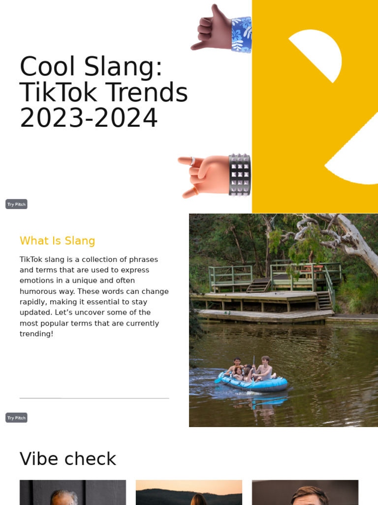 AI Cool Slang - TikTok Trends 2023-2024 | PDF