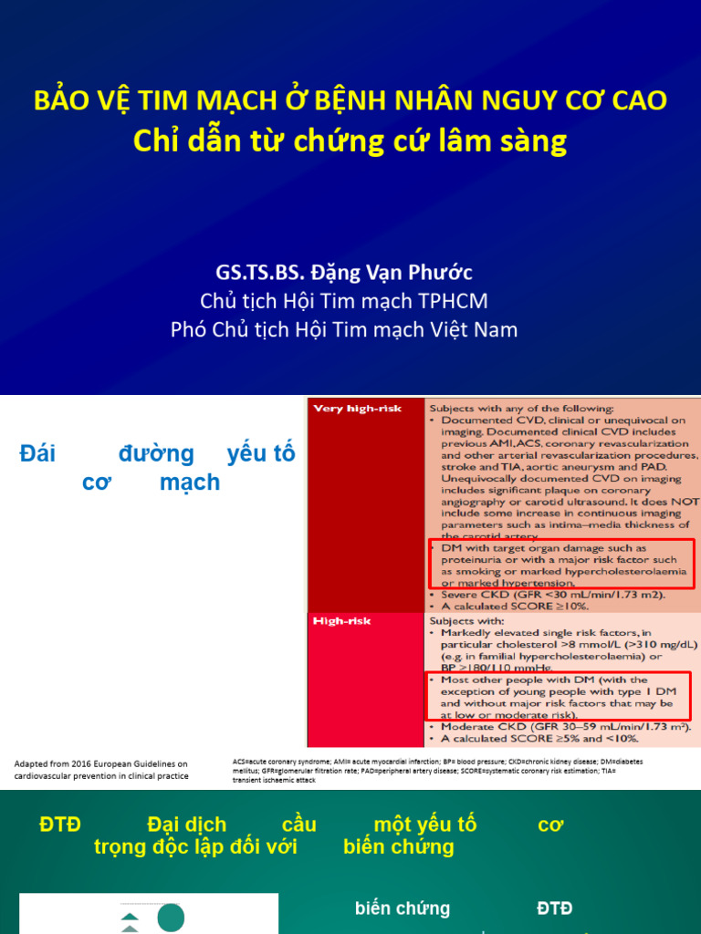 File Bao Ve Tim Mach DangVanPhuoc | PDF