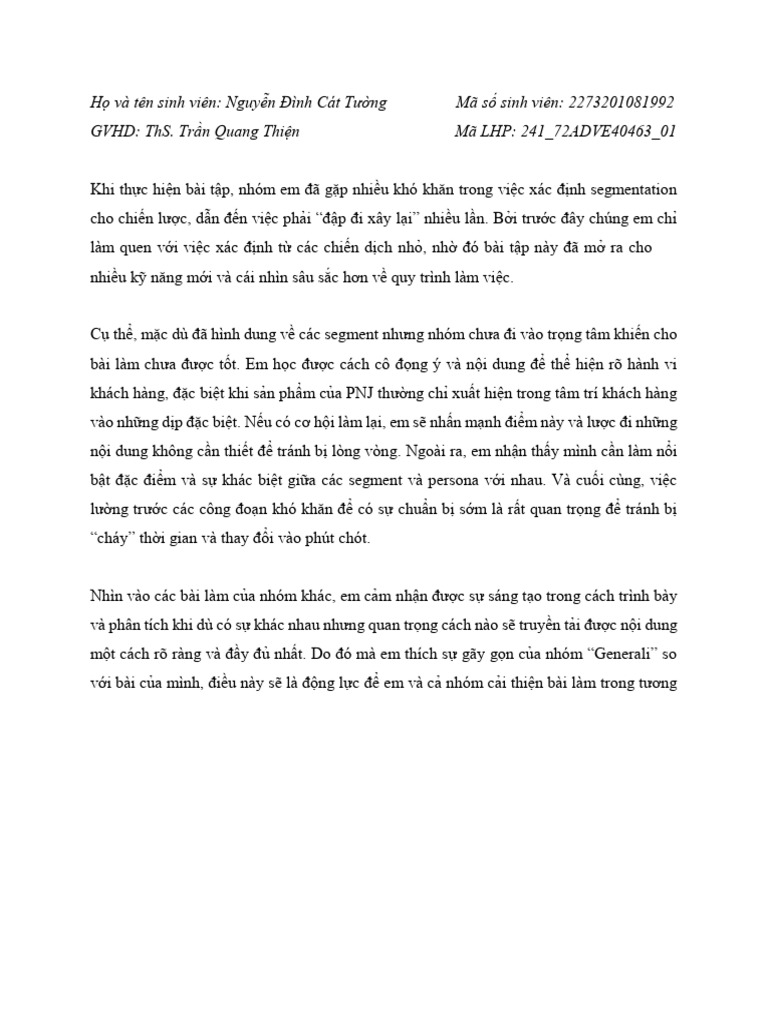 Persona Assignment Reflection - Nguyễn Đình Cát Tường - 2273201081992 | PDF
