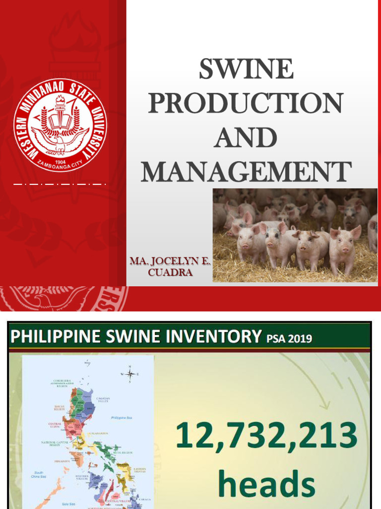 Swine Production and Management | PDF | Pig | Pork