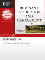 Module I. Beef Cattle Production | PDF | Cattle | Calf