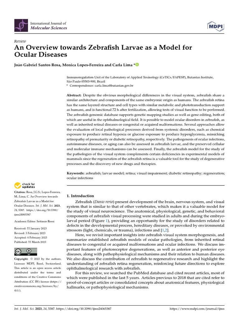 An Overview Towards Zebrafish Larvae As A Model For Ocular Diseases ...