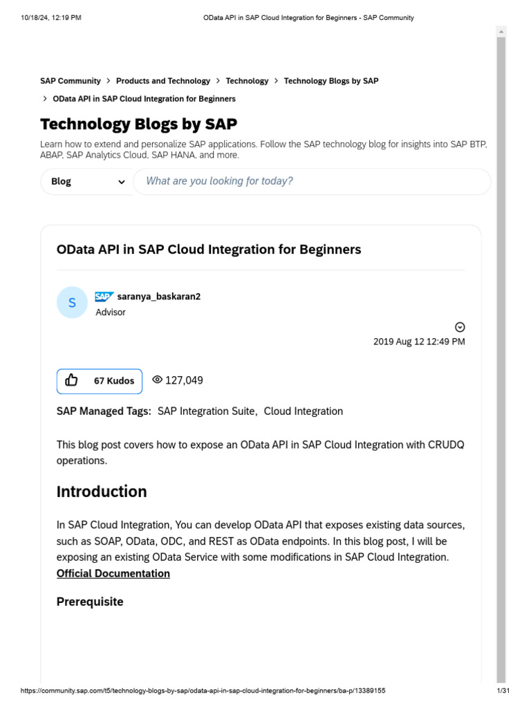 sap_odata_api | PDF | Communications Protocols | Internet