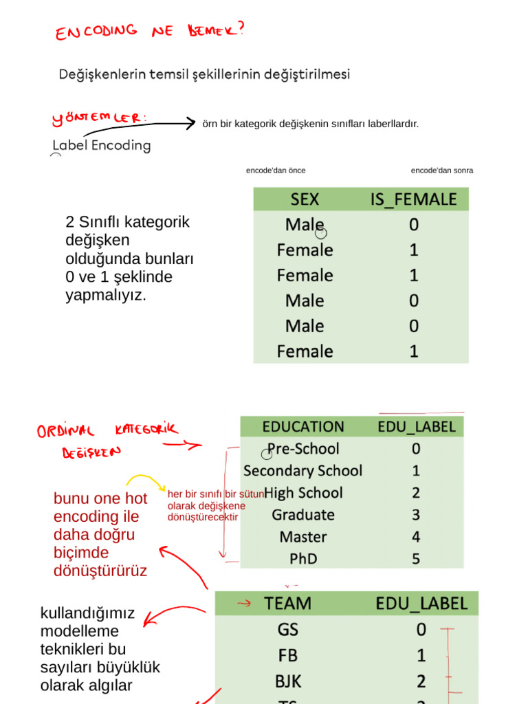 Feature Engineering - Encoding Scaling | PDF