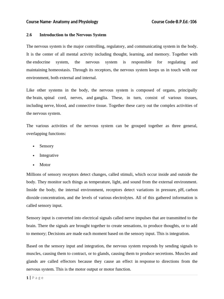 4.3 Structure and function of neuron | PDF | Axon | Nerve