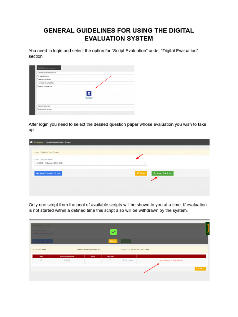 DVS Guidelines Manual | PDF | Software | Computing