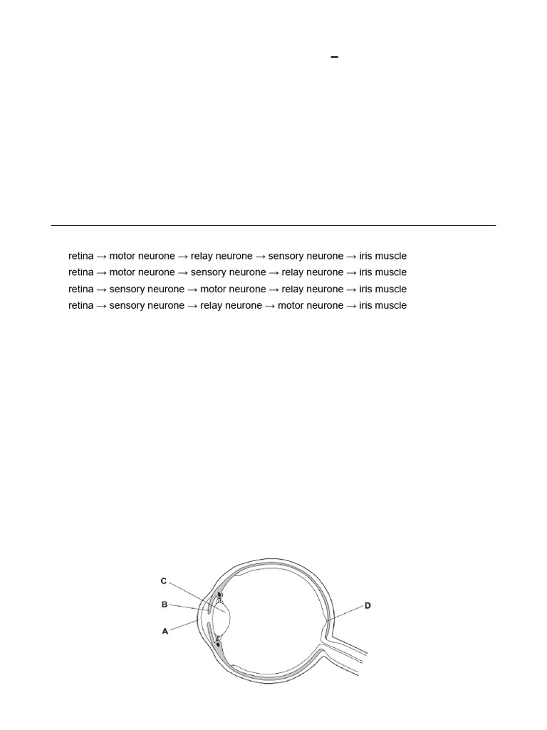 Nervous System Assessment for Grade 10 | PDF | Nervous System | Nerve