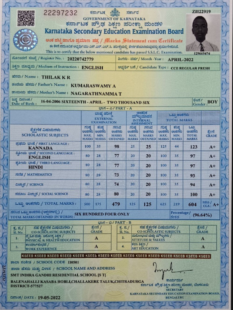 Second Puc Marks Card | PDF