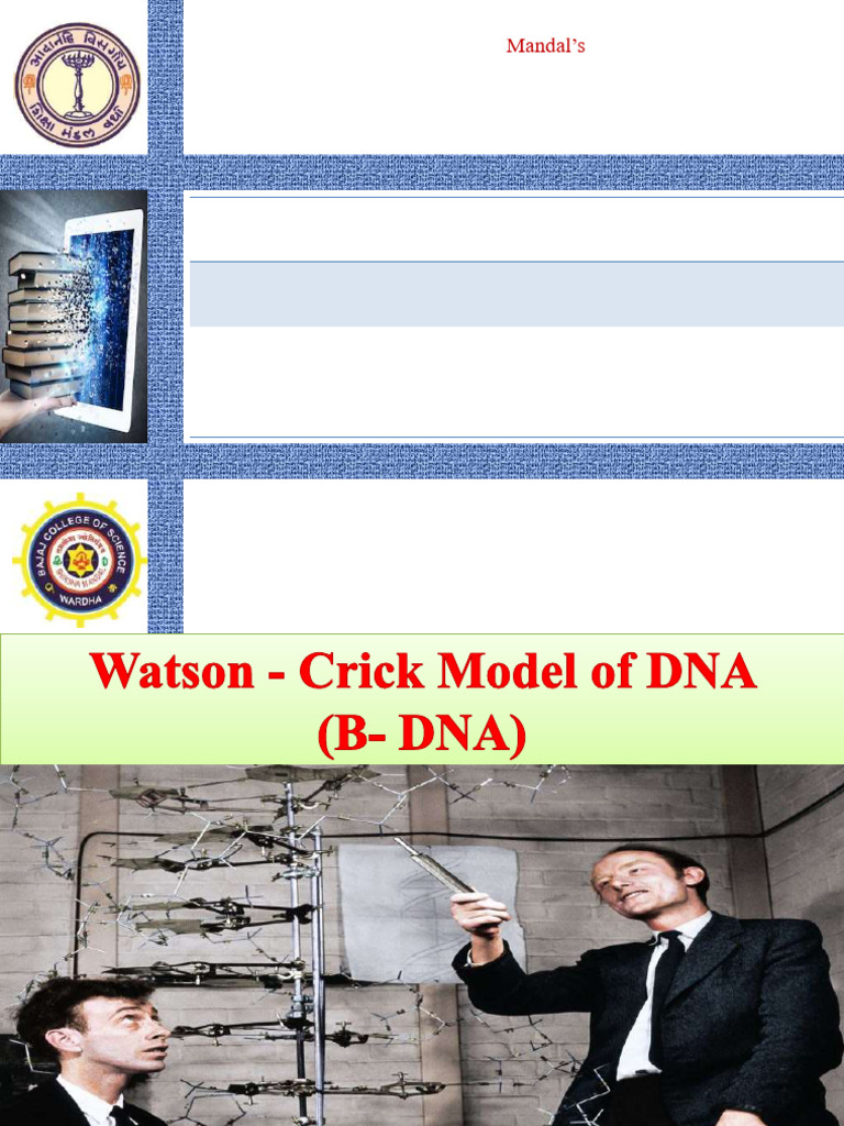 Watson-Crick Model of DNA Explained | PDF | Dna | Nucleic Acid Double Helix