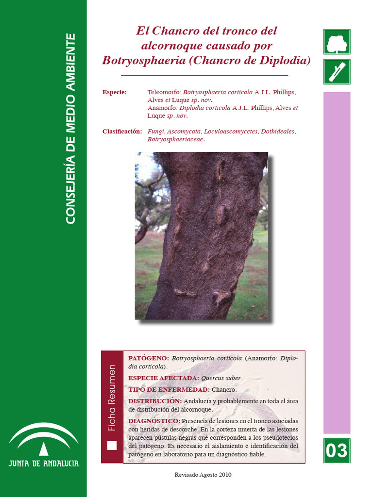 Chancro - Tronco Alcornoque | PDF | Hongo | Infección