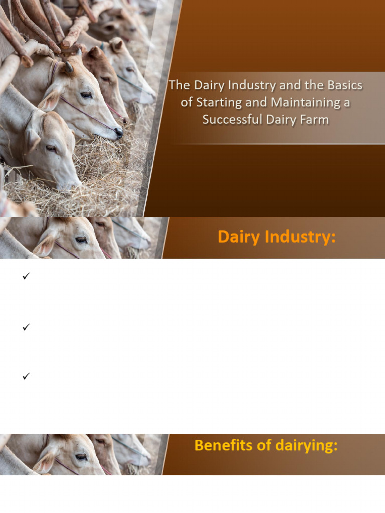 Dairy Industry and Basics for Starting and Maintain Dairy Farms | PDF ...