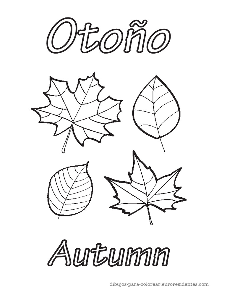 Hojas Colorear | PDF