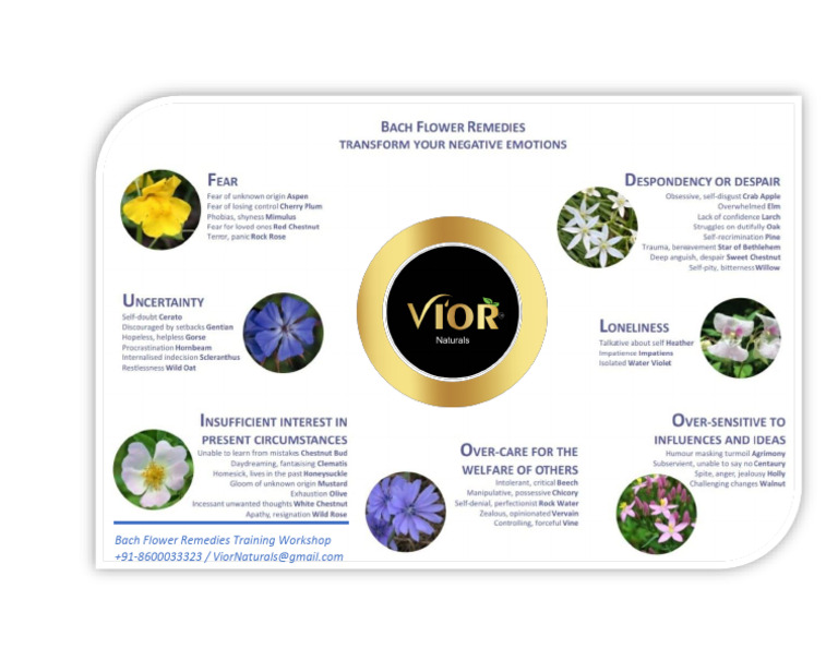 Bach All Remedies Memory Chart | PDF