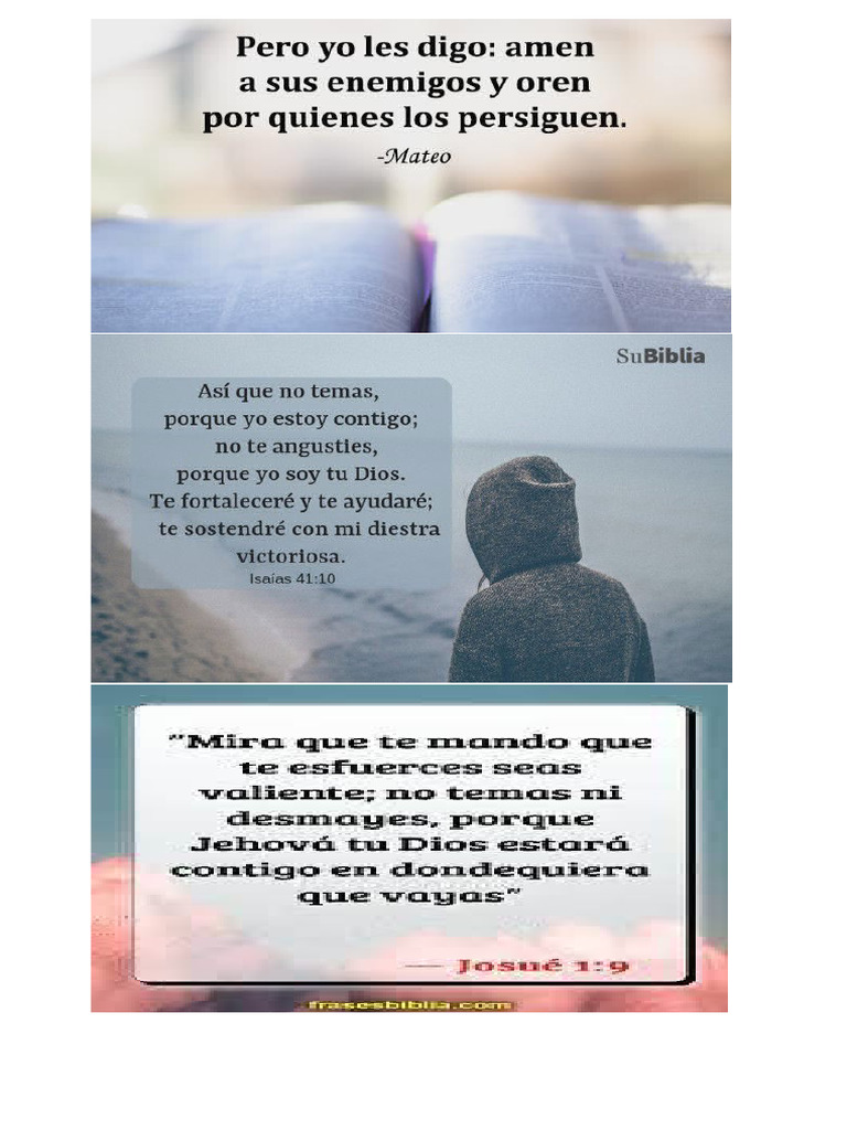 Plan de Trabajo Cist 2024 | PDF