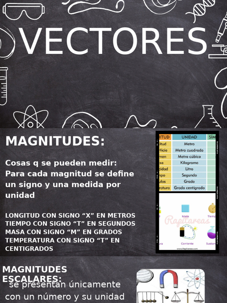 Magnitudes: Escalares y Vectoriales | PDF