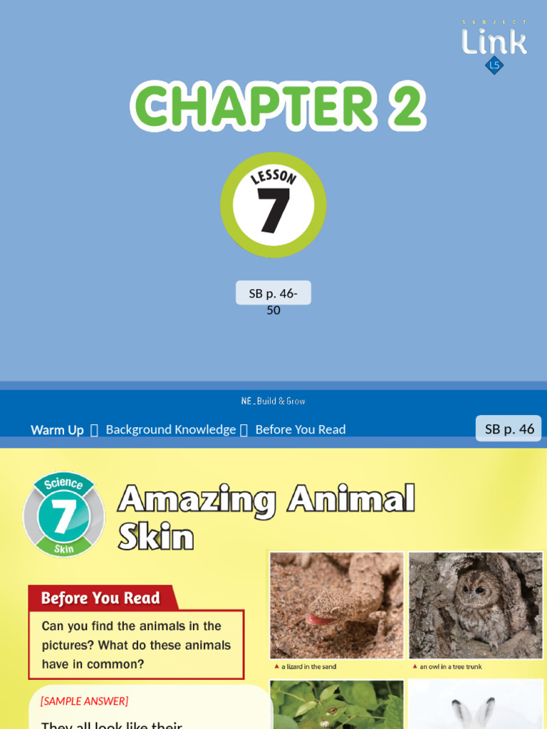 Subject Link 5_L7_1 | PDF | Vocabulary | Camouflage