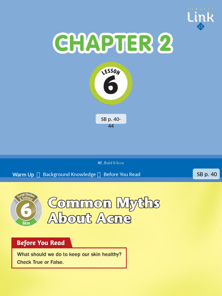 Subject Link 5_L6_1 | PDF | Vocabulary | Reading Comprehension