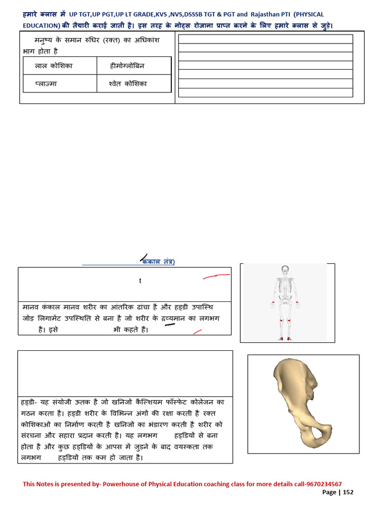 skeleton system | PDF