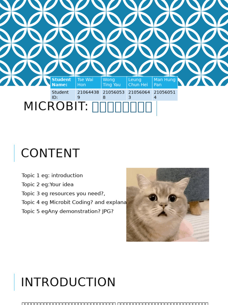 Microbit Project Export Video (Group 4) | PDF