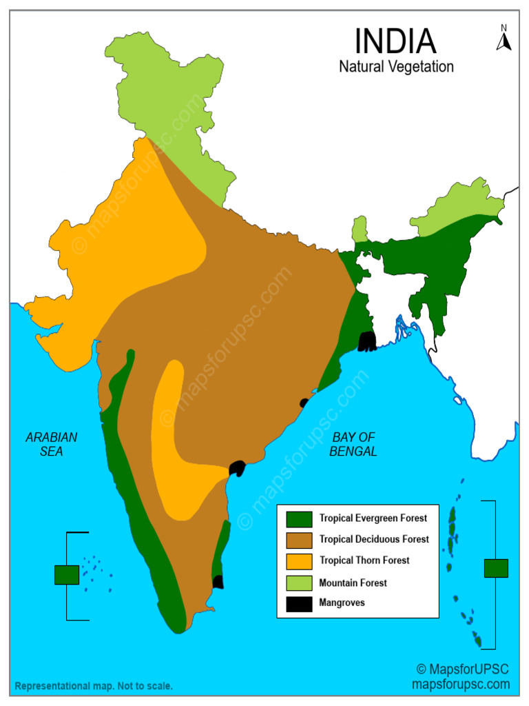 Natural Vegetation Map of India | PDF | Ecoregions | Environmental ...