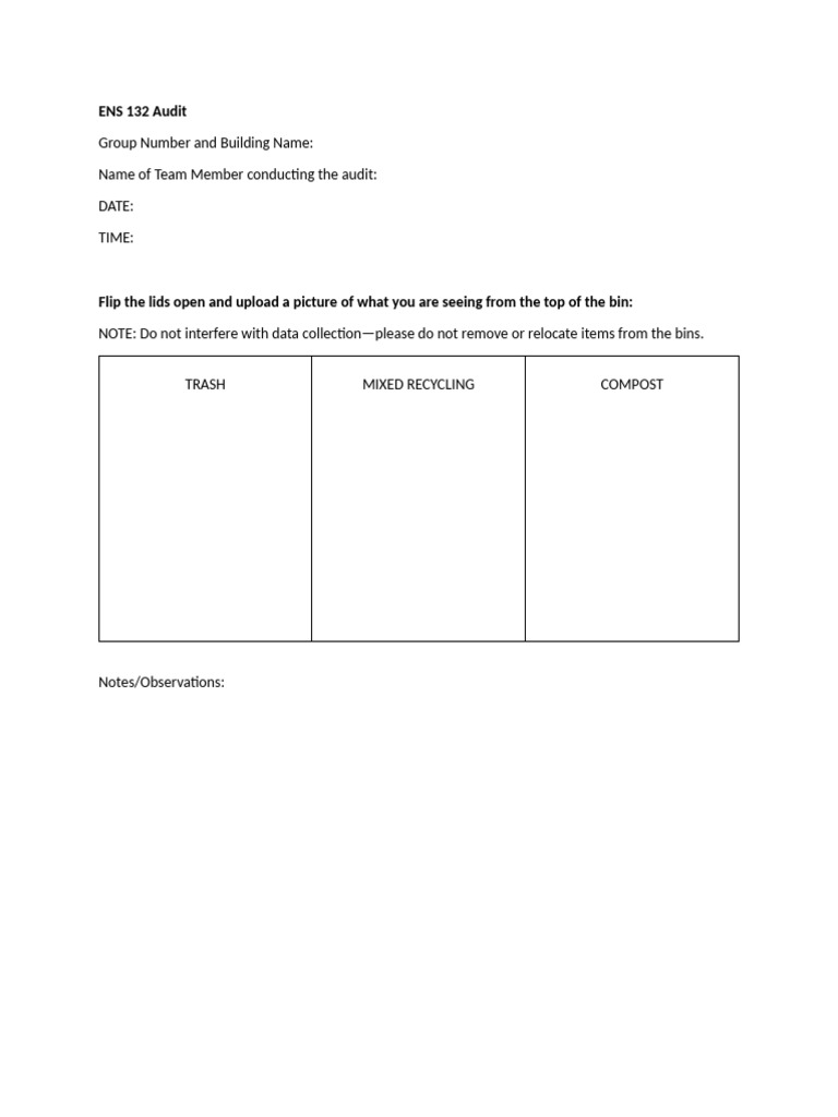 Audit Template | PDF