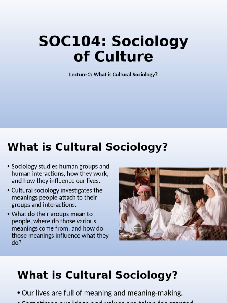 Understanding Cultural Sociology | PDF | Sociology | Liberal Arts Education