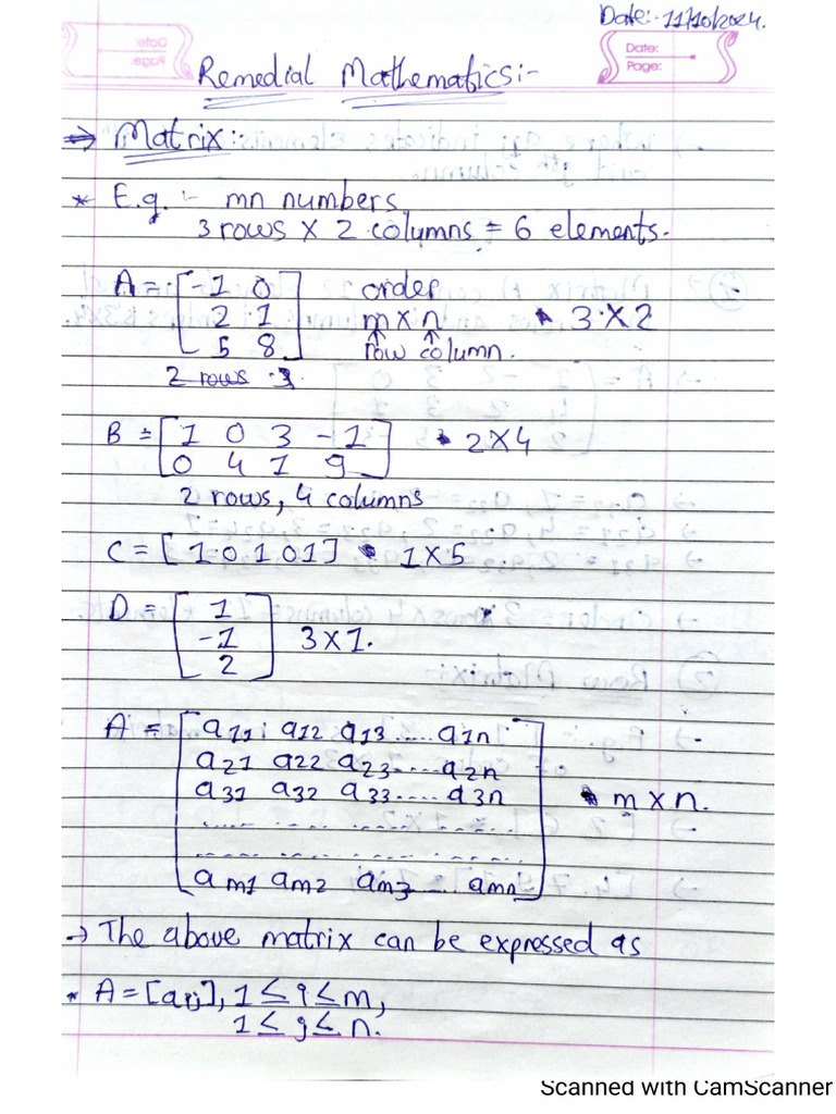 Remedial Mathematics | PDF