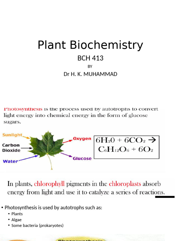 Plant Biochemistry Photosynthesis | PDF