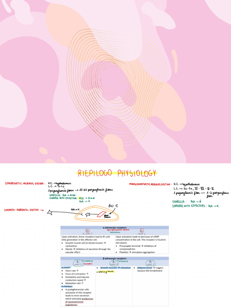 Summary Physio 3 | PDF | Medical Specialties | Heart