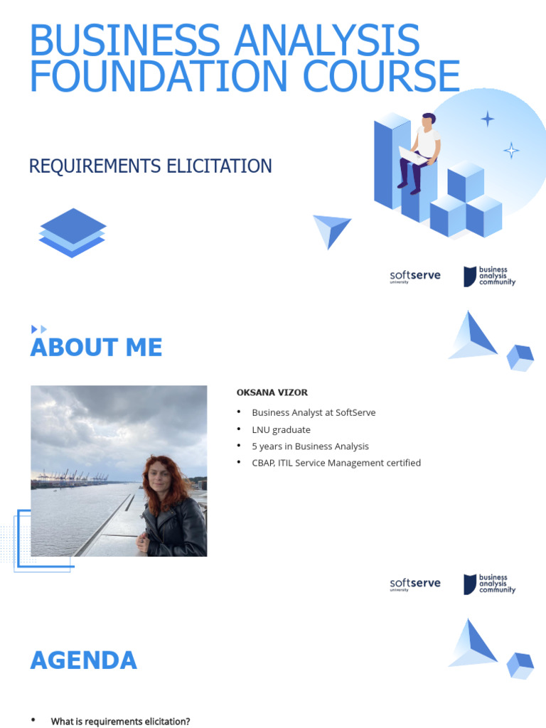 BARequirements Elicitation | PDF | Focus Group | Cognition