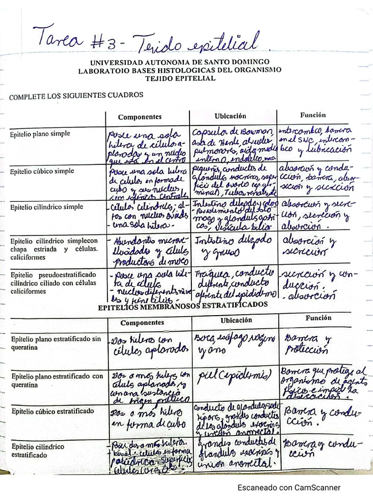 Tarea Lab Histología | PDF