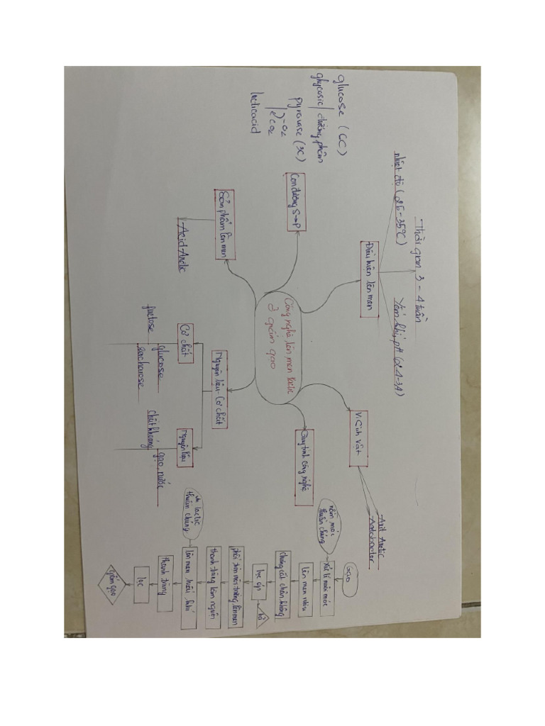 BT7 2006224659 | PDF