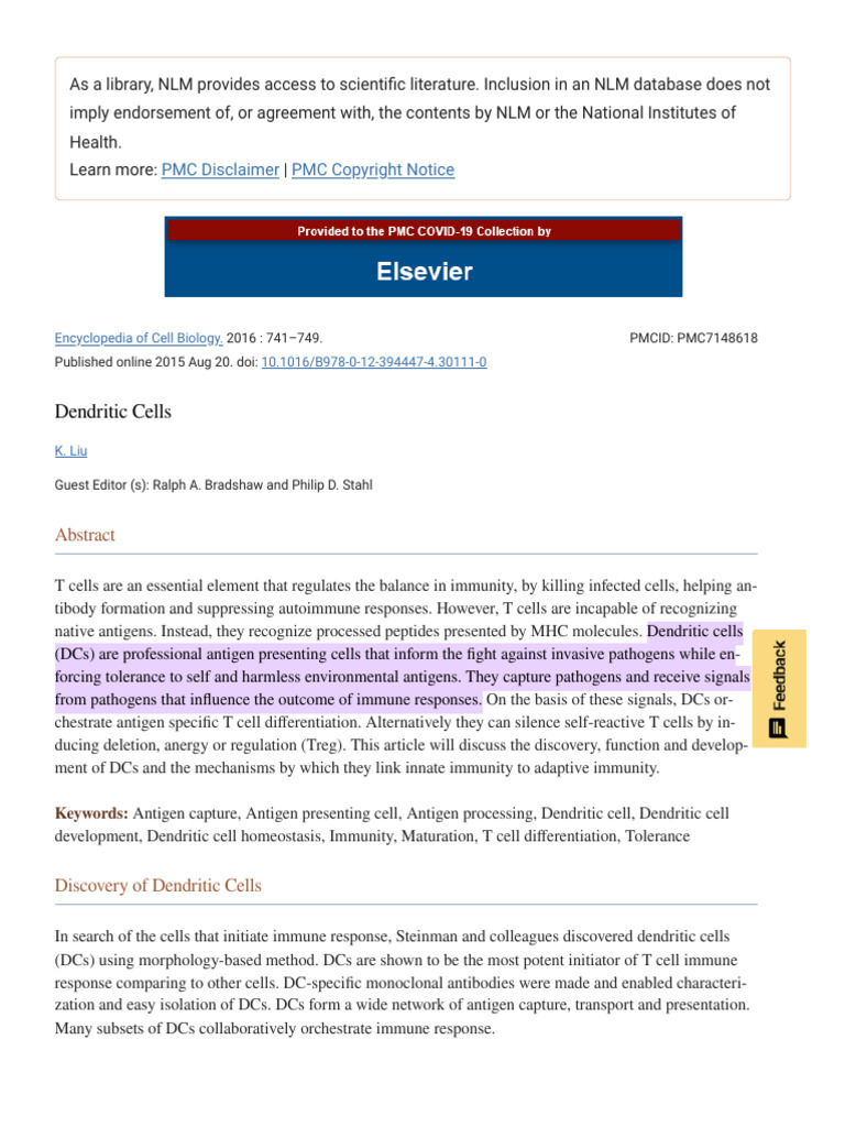 Dendritic Cells - PMC | PDF | Dendritic Cell | Immune Tolerance