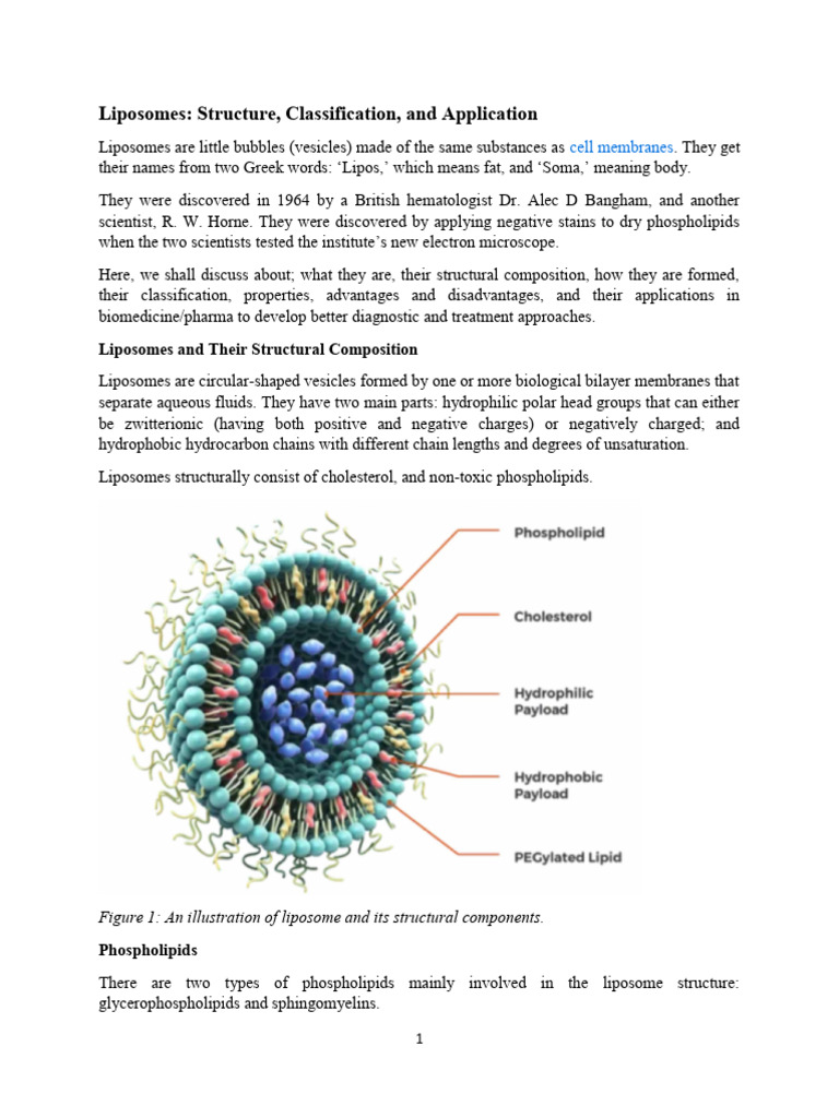 Liposomes Structure and Application | PDF | Liposome | Phospholipid
