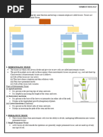 Cbse Class Ix Animal Tissue Flow Chart | PDF | Epithelium | Tissue ...