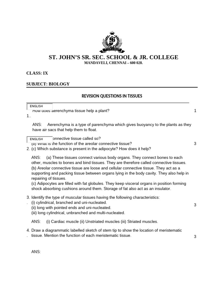 Revision Questions for Class IX Bio. | PDF | Tissue (Biology) | Connective Tissue