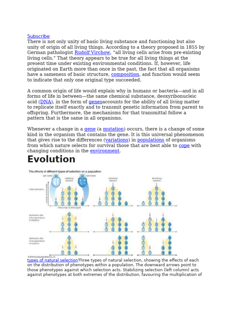 Document (2) | PDF | Natural Selection | Evolution