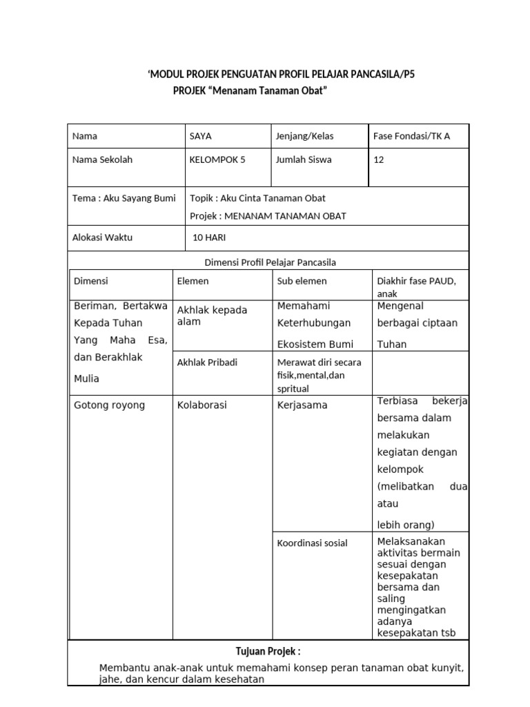 Contoh Format Modul P5 Praktek | PDF