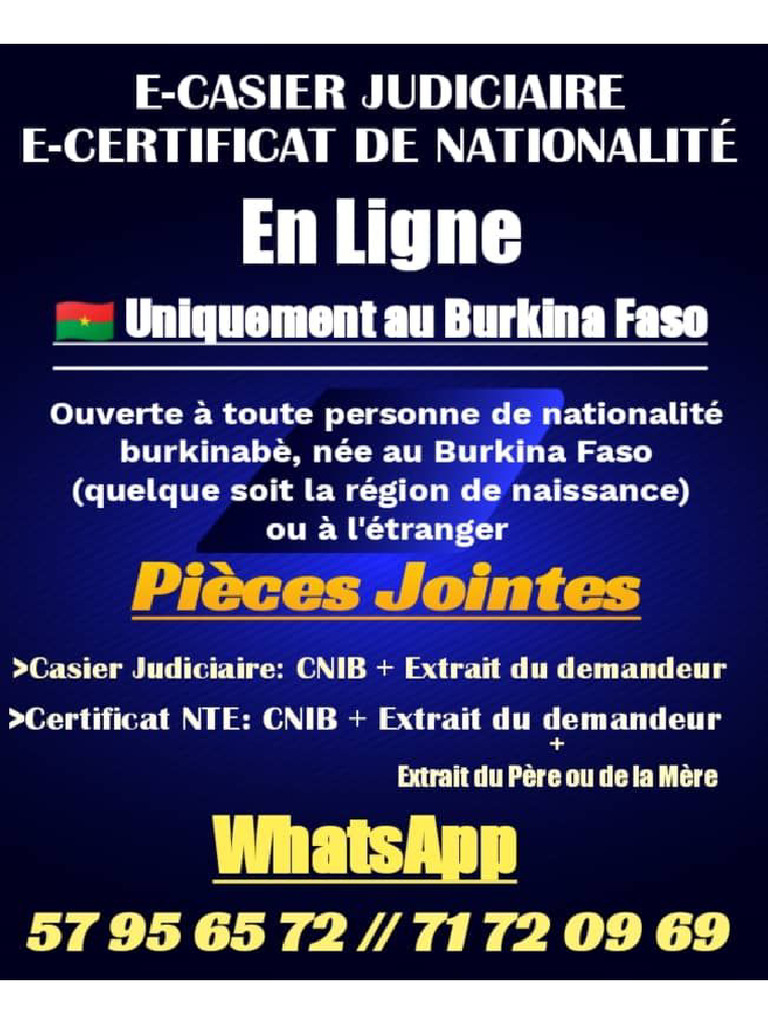 e-casier judiciaire 57956572 | PDF