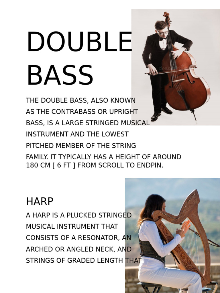 Double Bass | PDF
