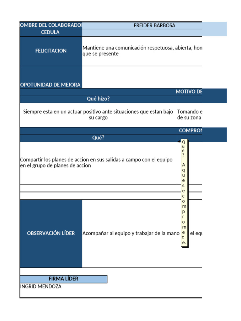 Formato de Coaching y Seguimiento Lideres Zona Freider Barbosa Agosto ...