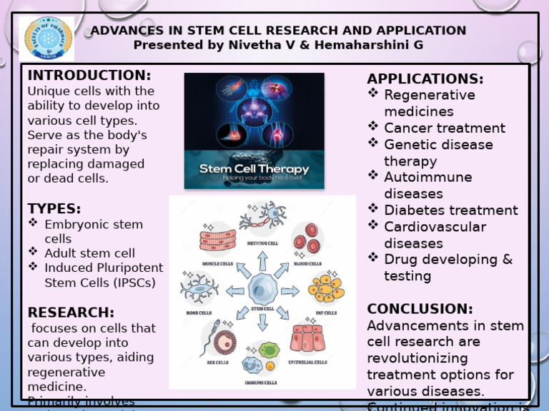 stem cell | PDF
