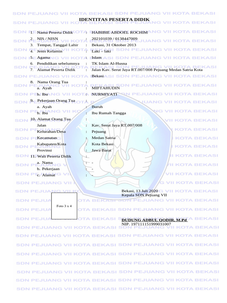 IDENTITAS RAPORT Habibie | PDF