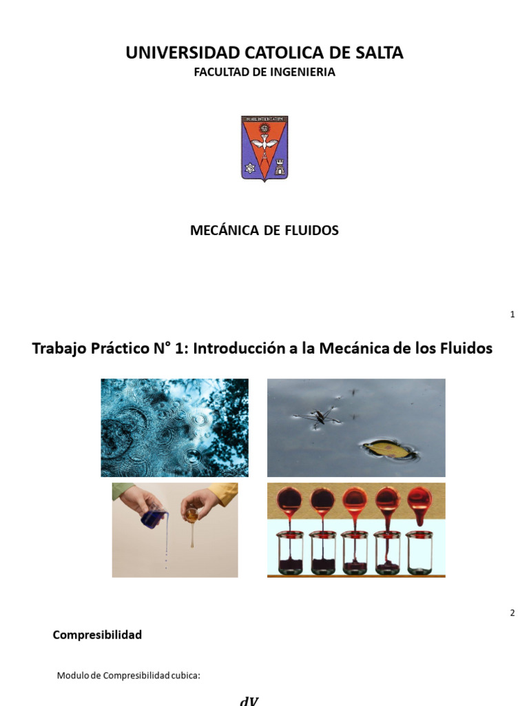 1-TP N 1 - Introduccion A Los Fluidos | PDF | Peso | Viscosidad