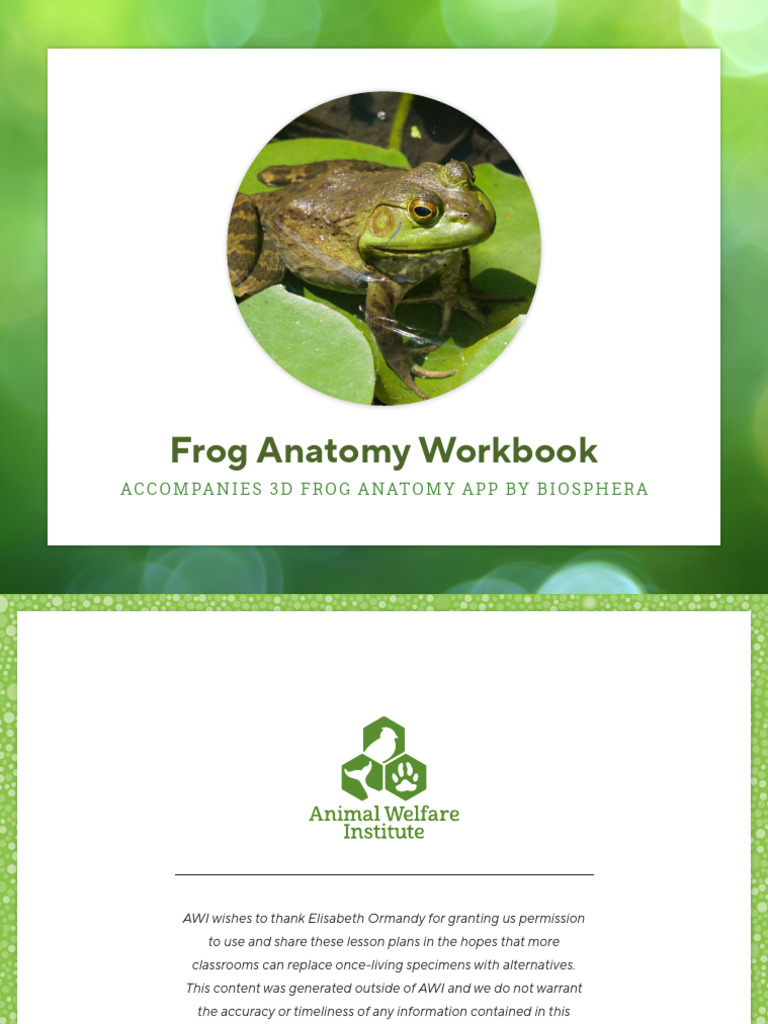 Frog-Anatomy-Workbook | PDF | Respiratory System | Atrium (Heart)